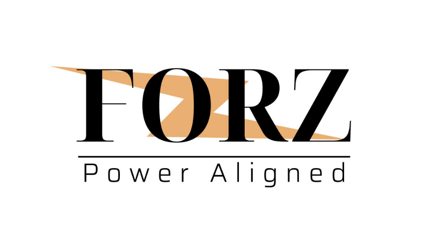 FORZ POWER EUROPE HOLDING LTD